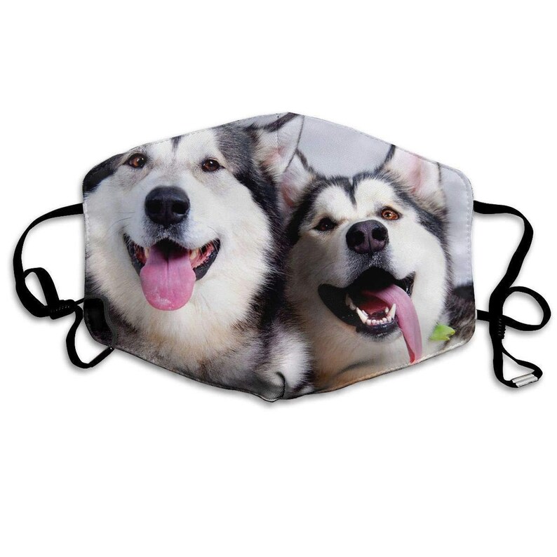 Adorable Husky Dogs Face Mask With 2 Carbon Filters - Etsy
