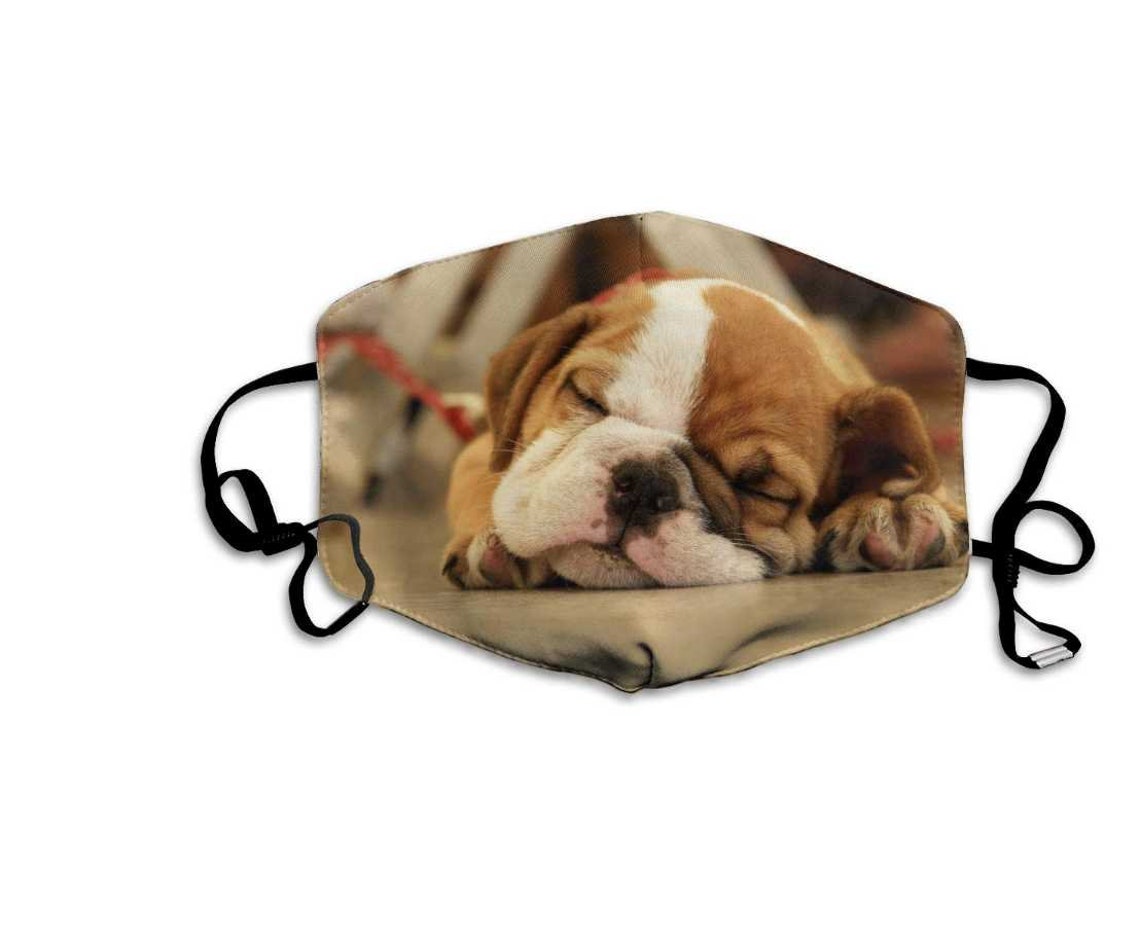 Bulldog Puppy Face Mask With 2 Carbon Filters Reusable - Etsy