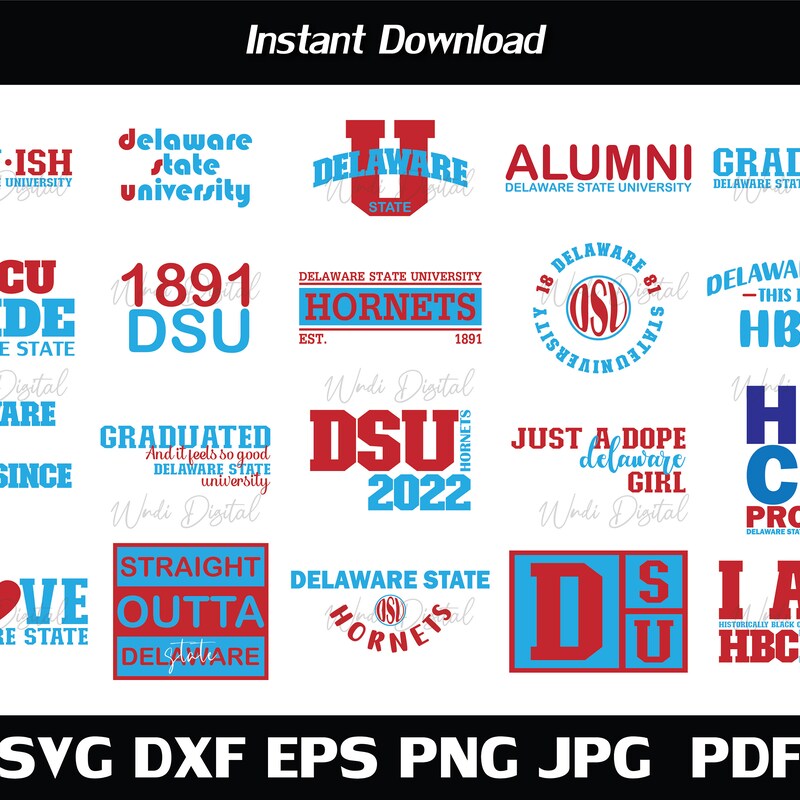 Delaware State University - Etsy