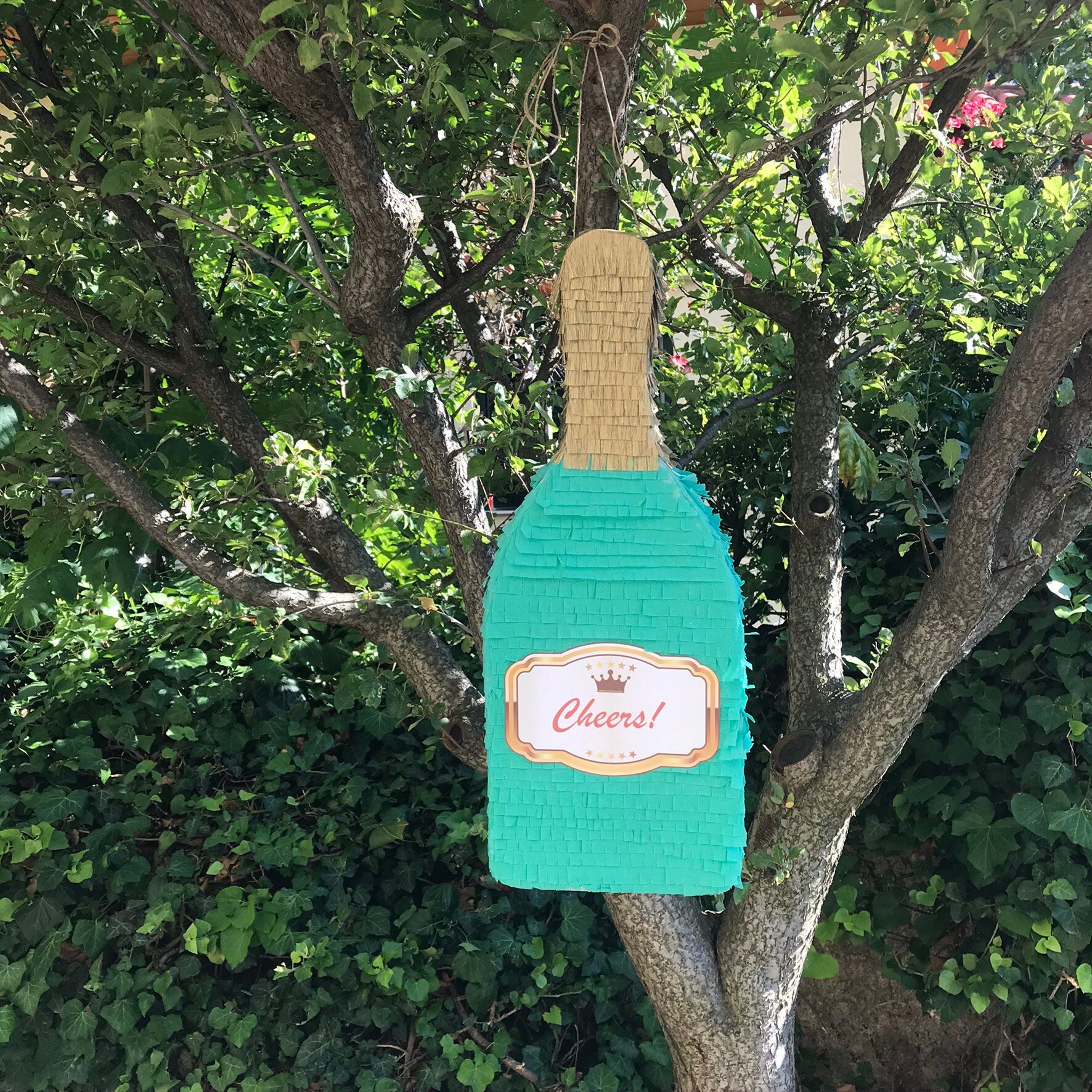 Champagne Bottle Pinata - Etsy