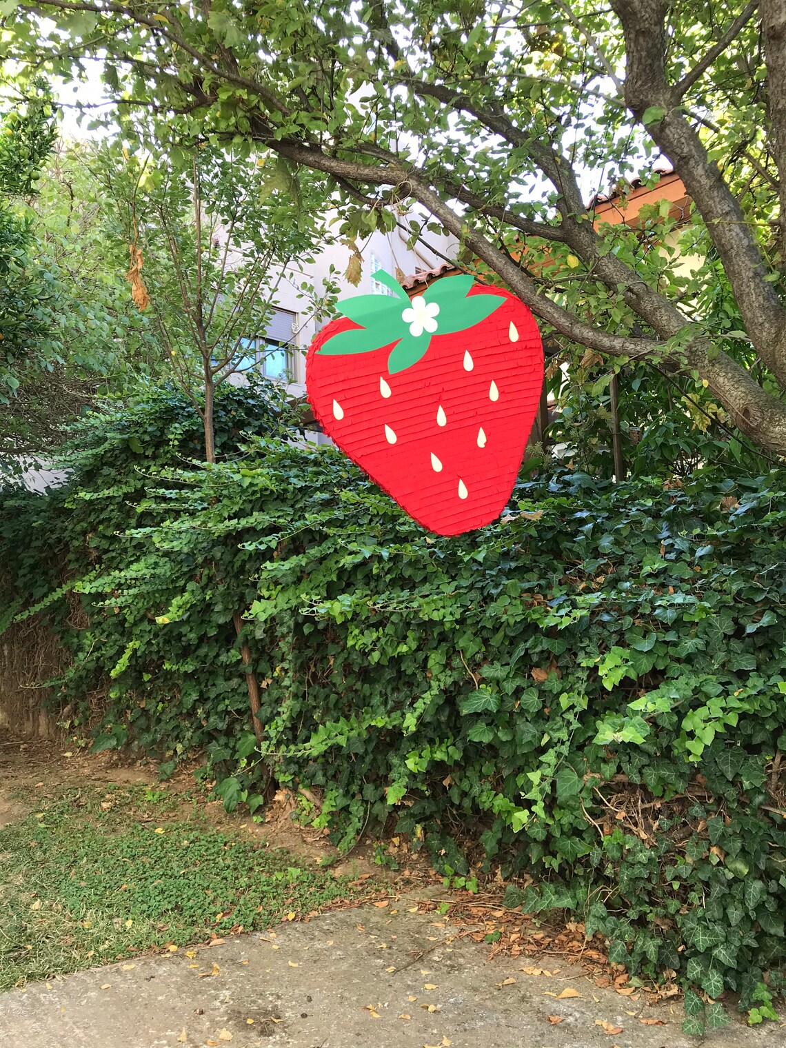 Strawberry Pinata for Spring Parties Strawberry 1st - Etsy