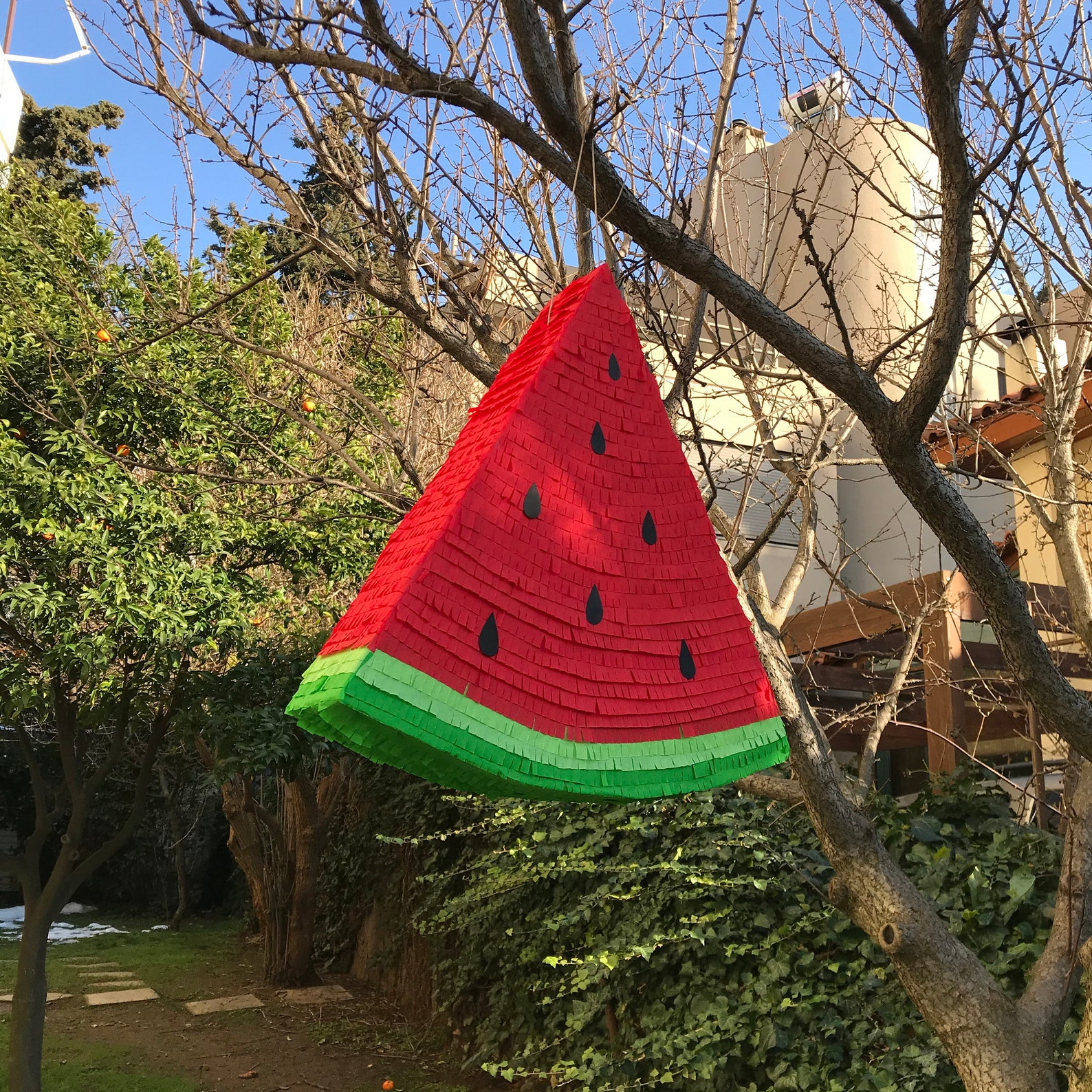 Watermelon Pinata, Watermelon Party Decoration - Etsy