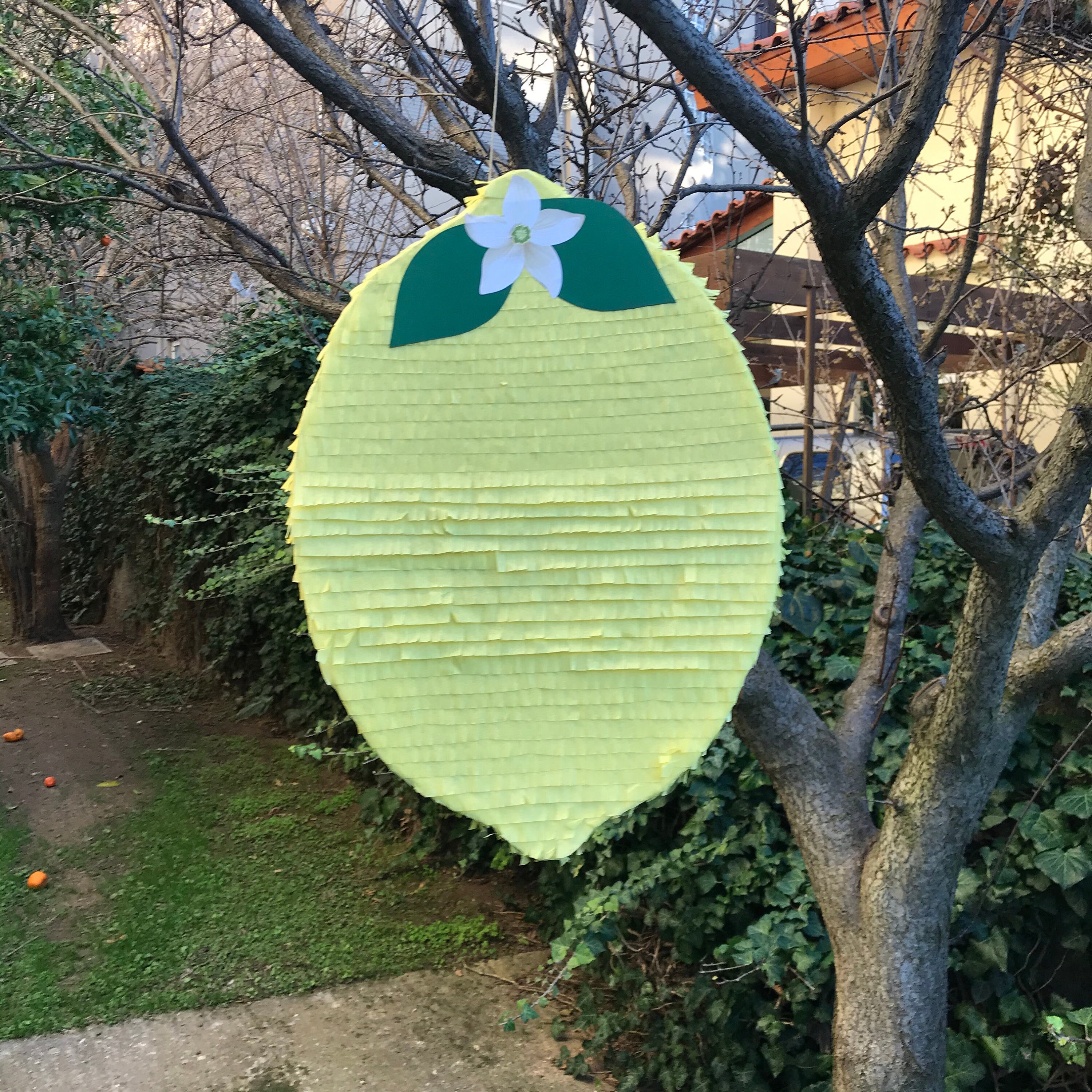 Lemon Pinata Lemon Birthday Party Decoration - Etsy