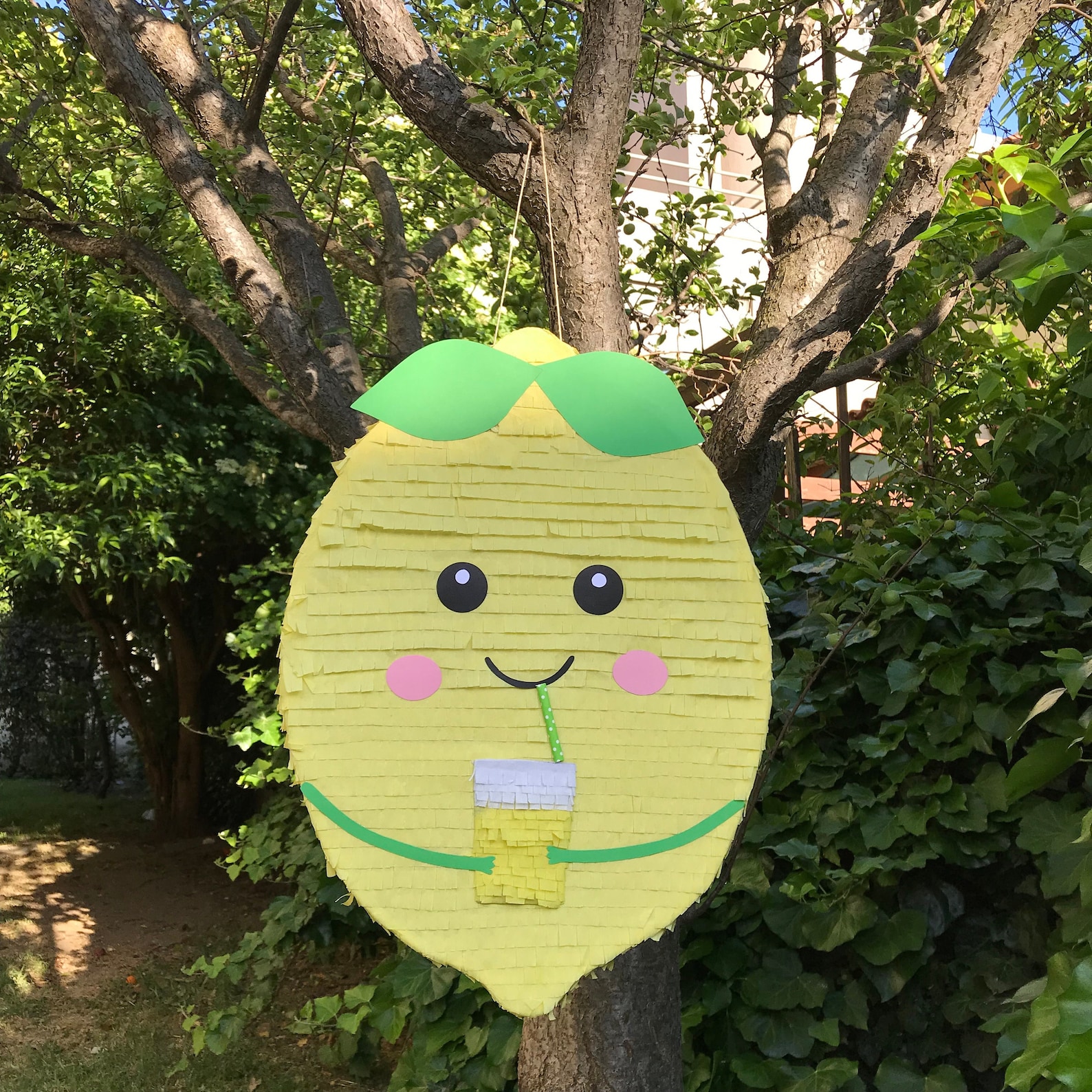 Lemon Pinata: Handcrafted Party Decoration - Etsy