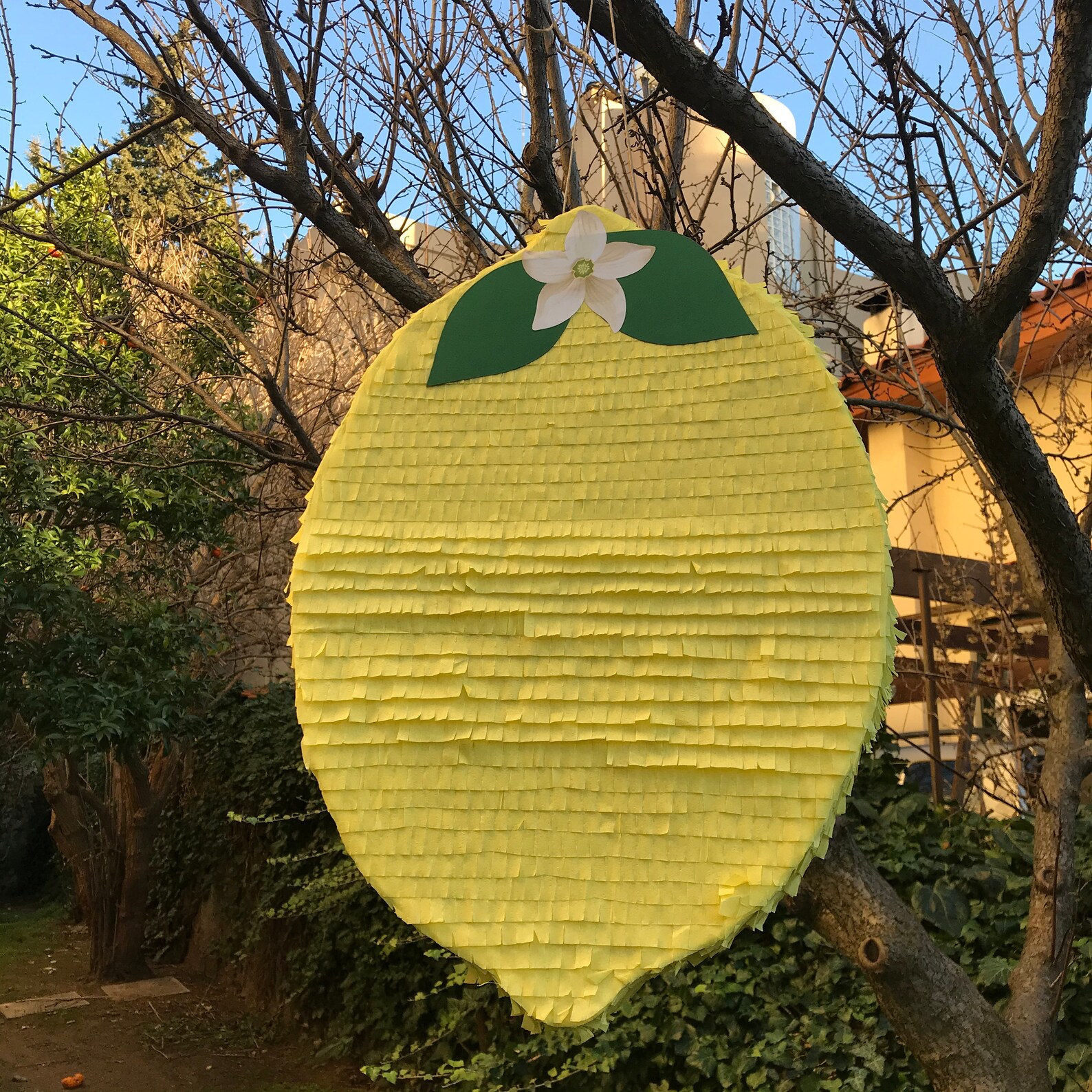 Lemon Pinata, Lemon Birthday Party Decoration - Etsy