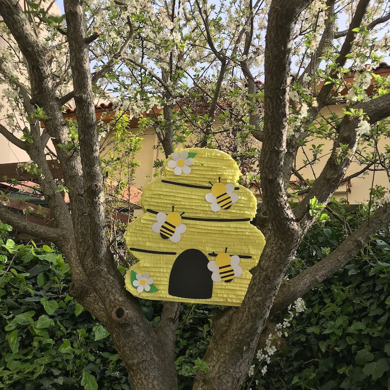 Honey Bee Hive Pinata: Gender Reveal Party Decoration - Etsy
