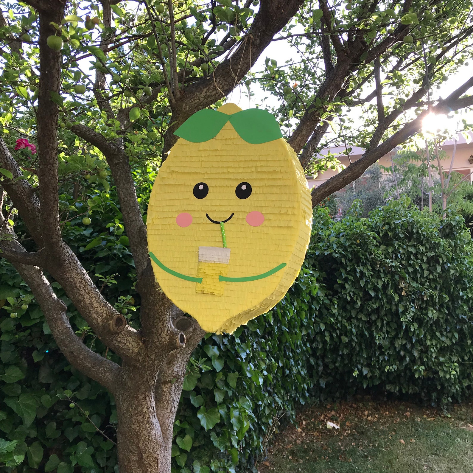 Lemon Pinata: Handcrafted Party Decoration - Etsy
