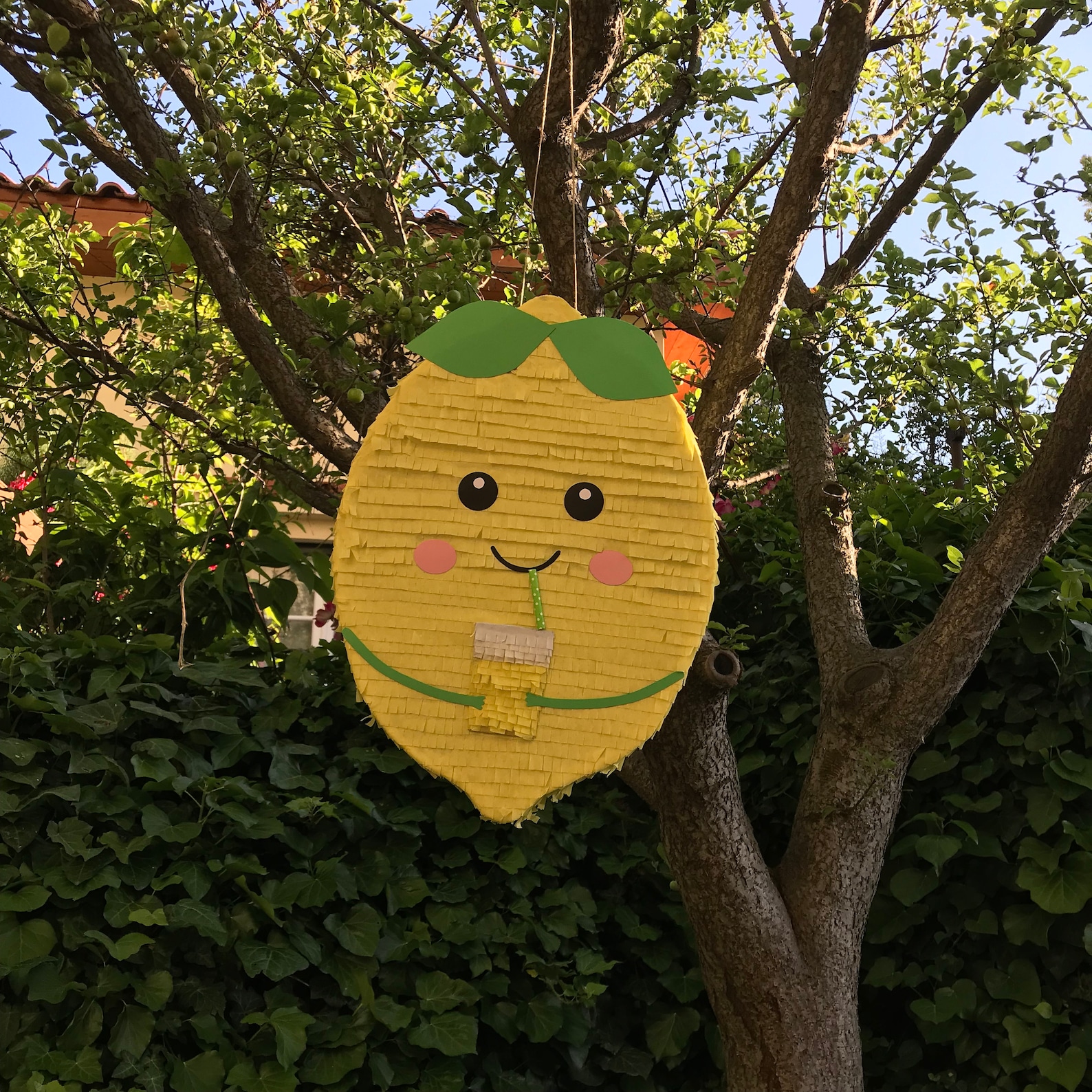 Lemon Pinata: Handcrafted Party Decoration - Etsy