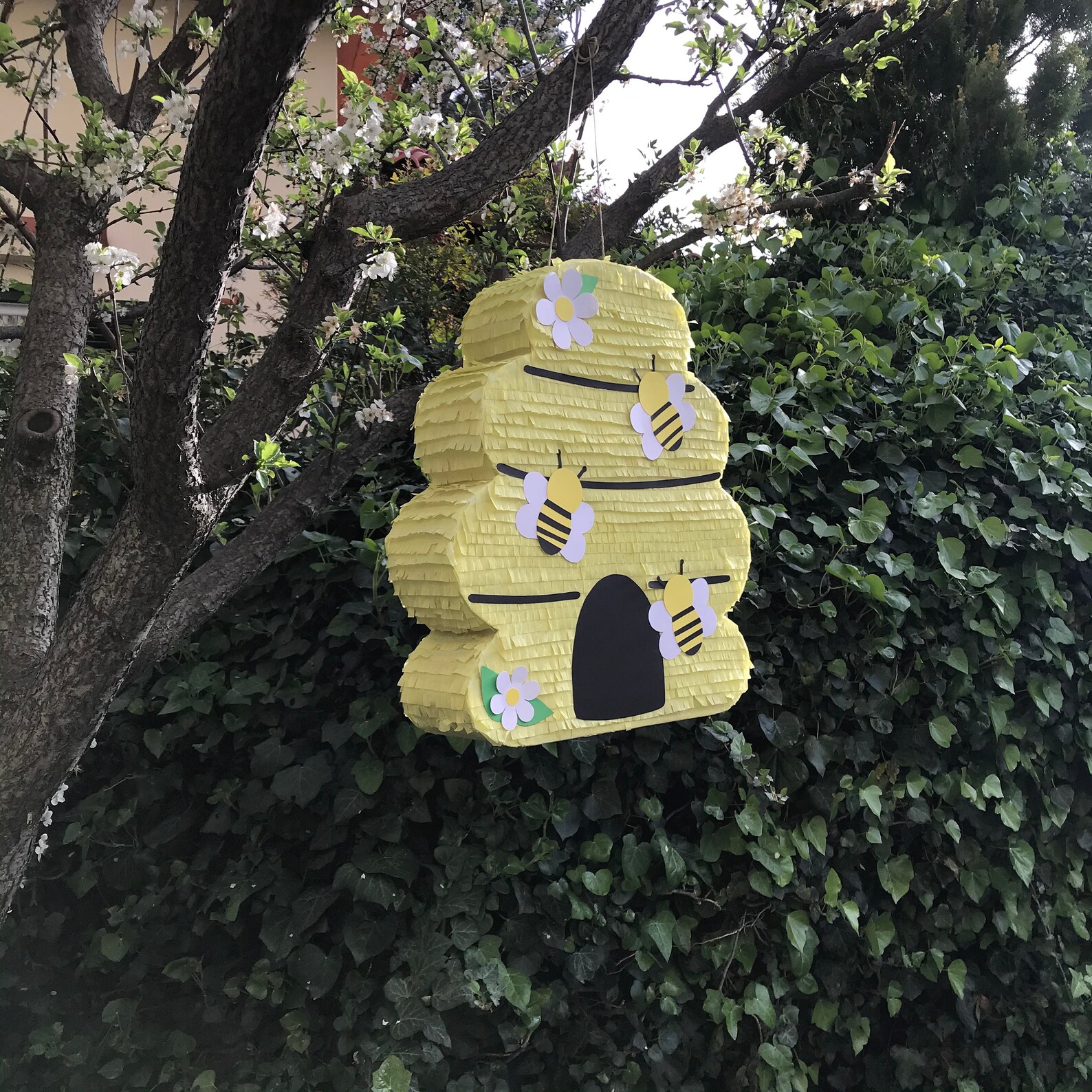 Honey Bee Hive Pinata, Bee Gender Reveal Pinata - Etsy