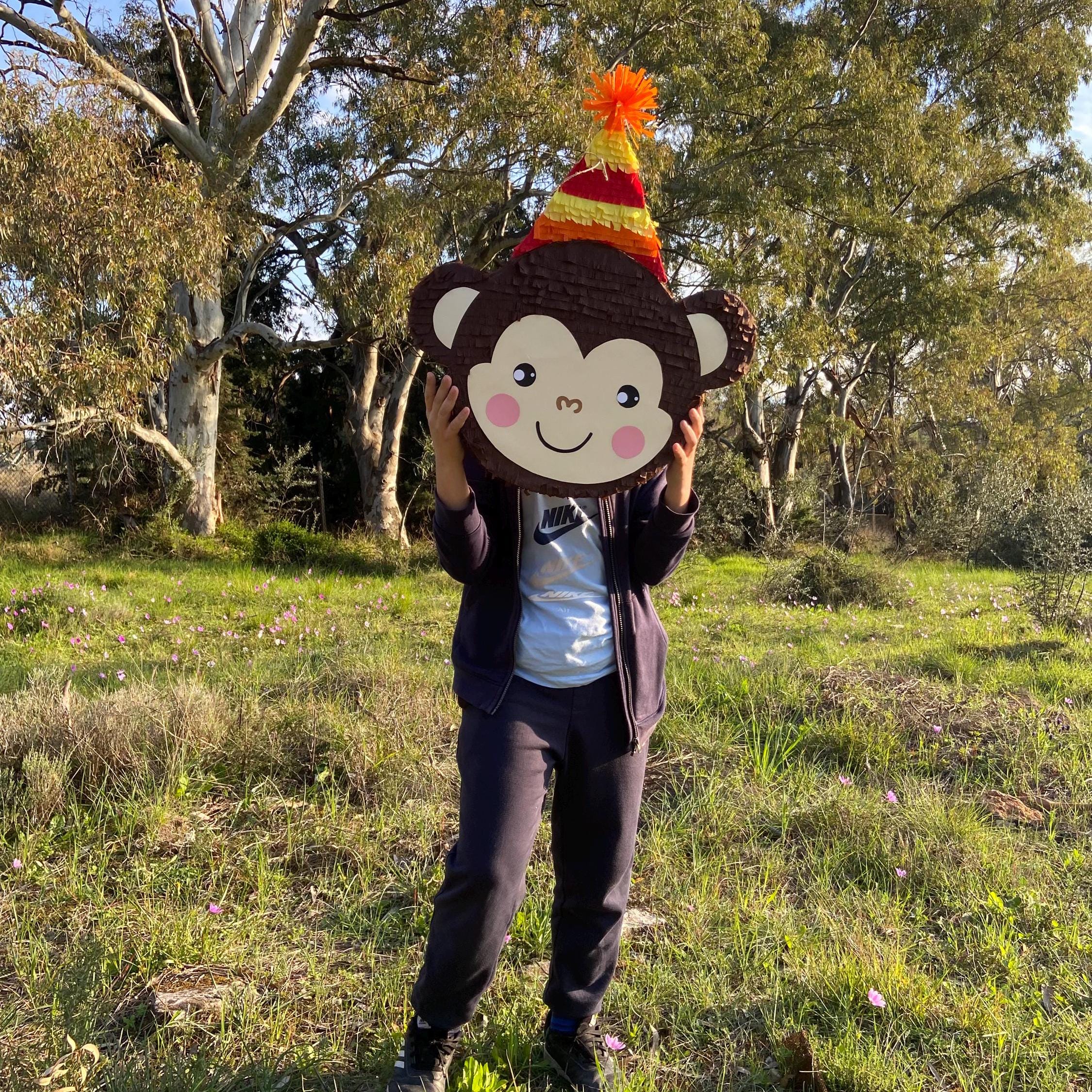 Monkey Pinata, Monkey Party Decoration - Etsy