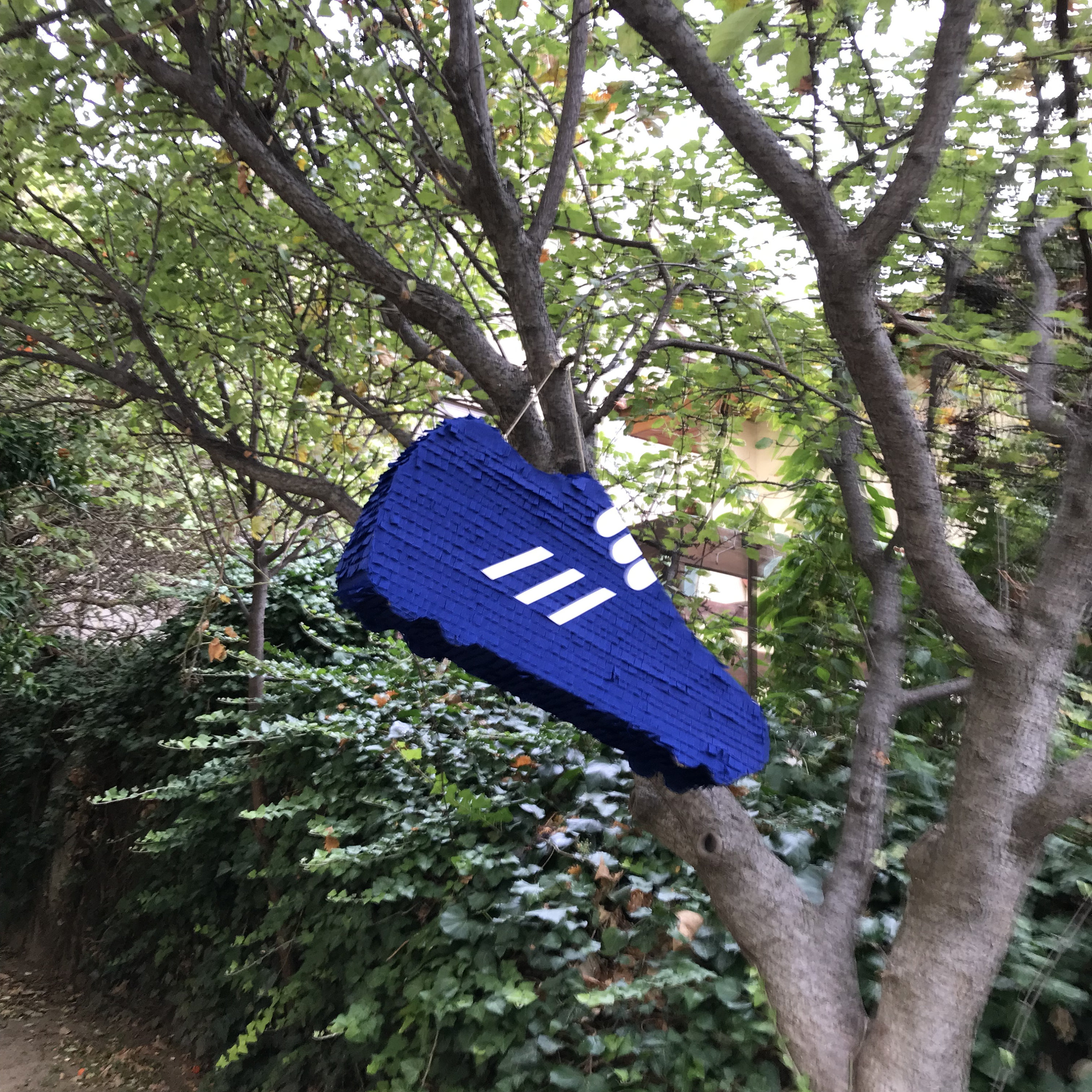 Sports Shoe Pinata, Football Shoe Pinata - Etsy