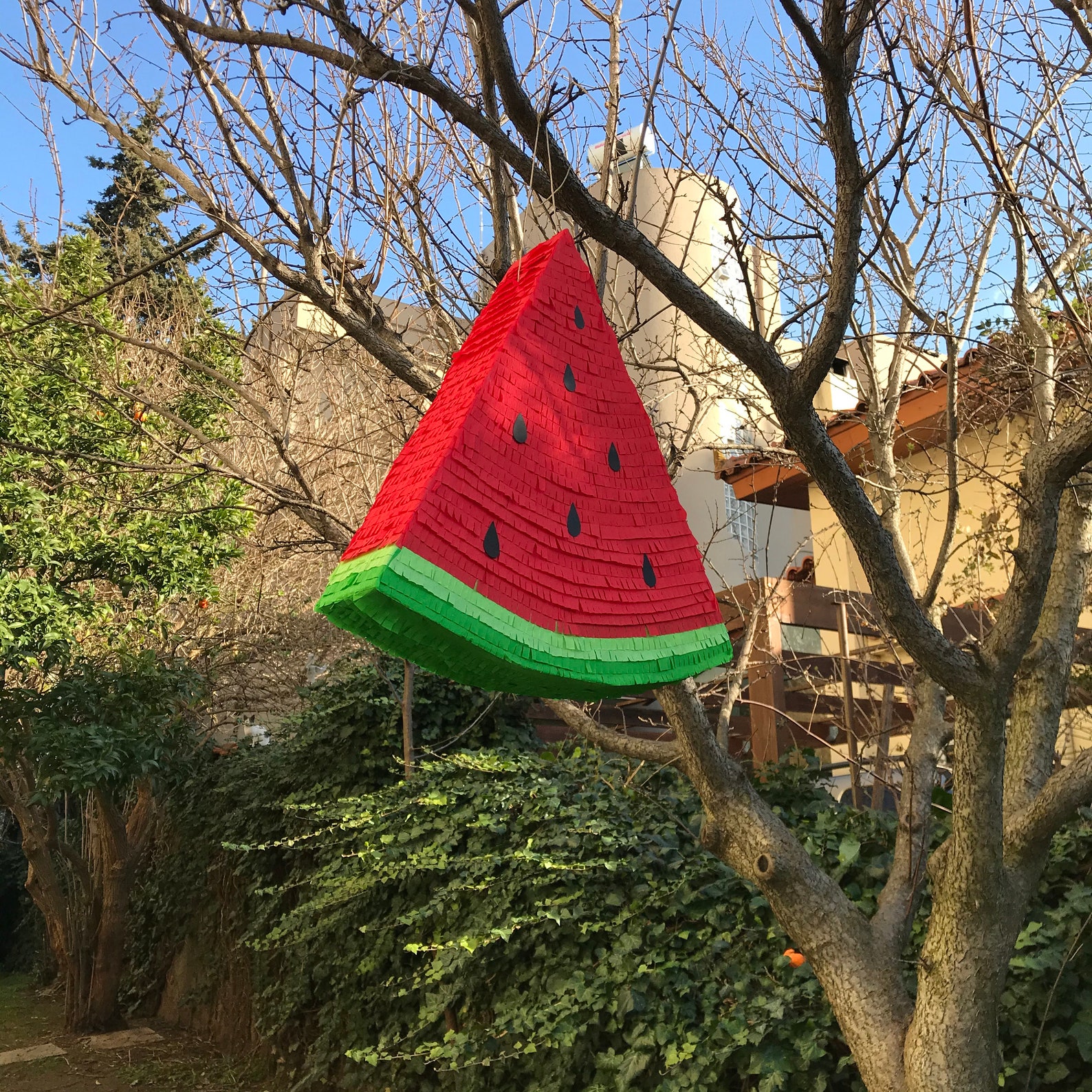 Watermelon Pinata Watermelon Party Decoration - Etsy