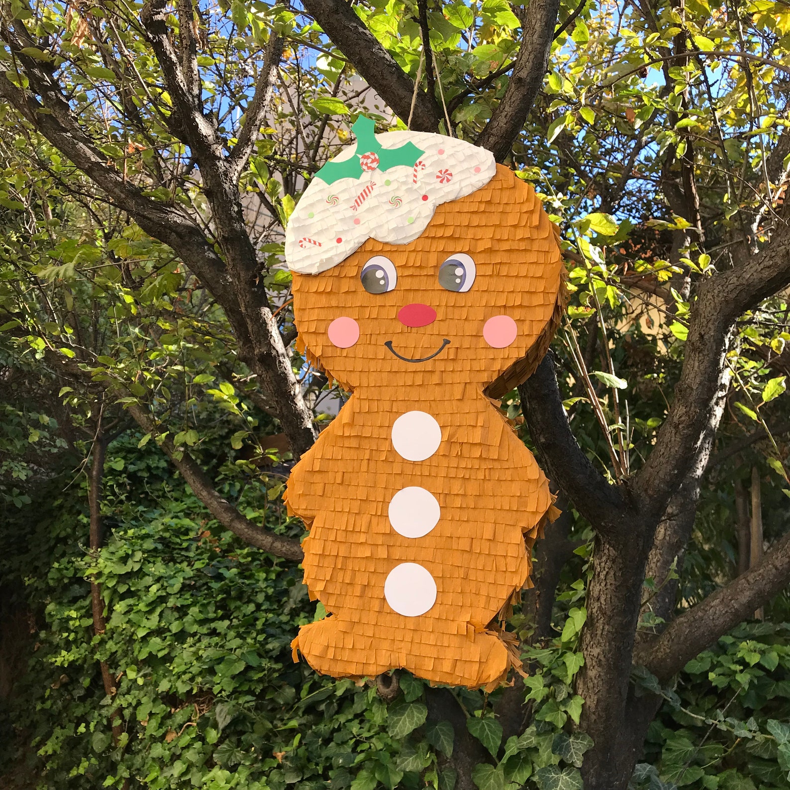 Christmas Gingerbread Cookie Pinata - Etsy