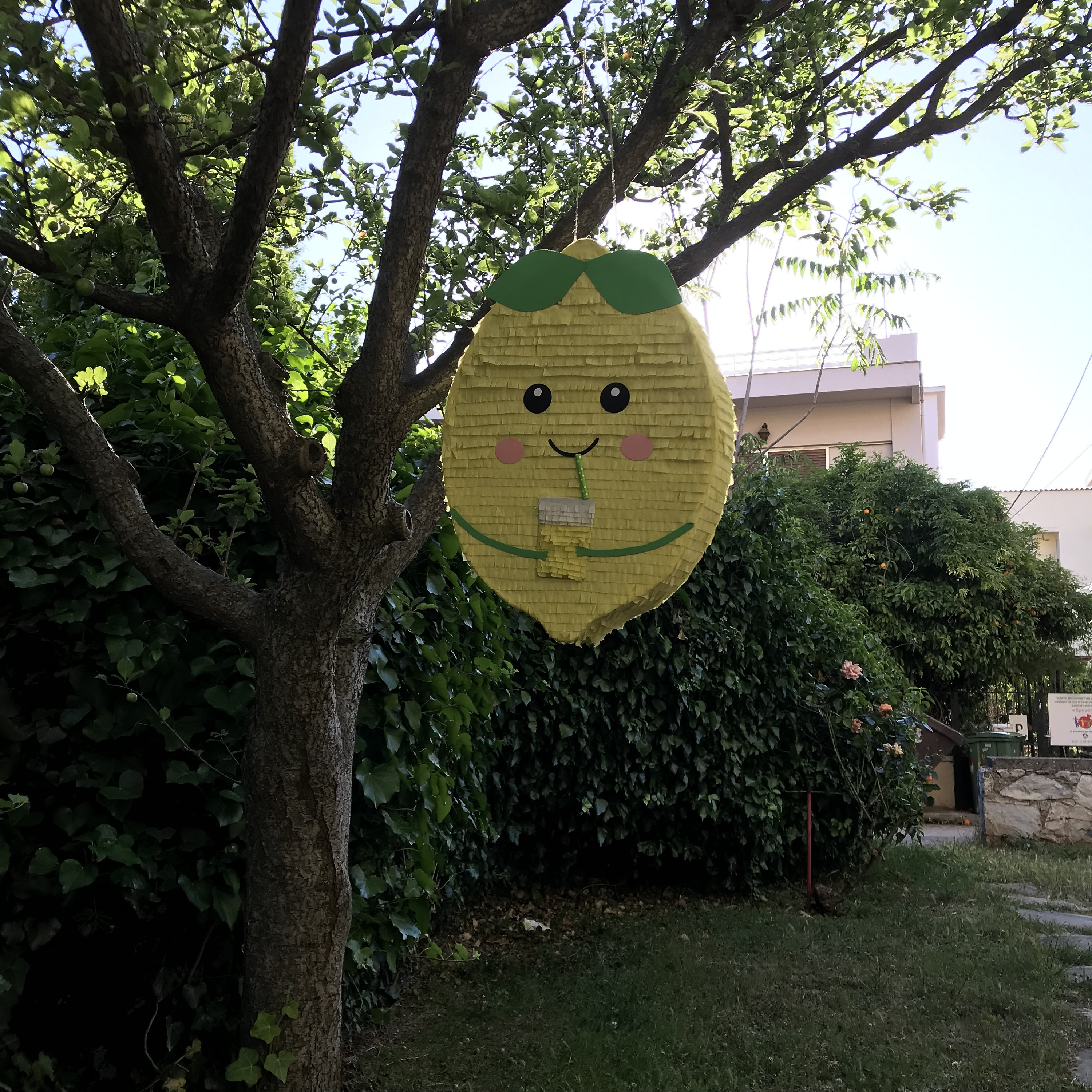 Lemon Pinata: Handcrafted Party Decoration - Etsy