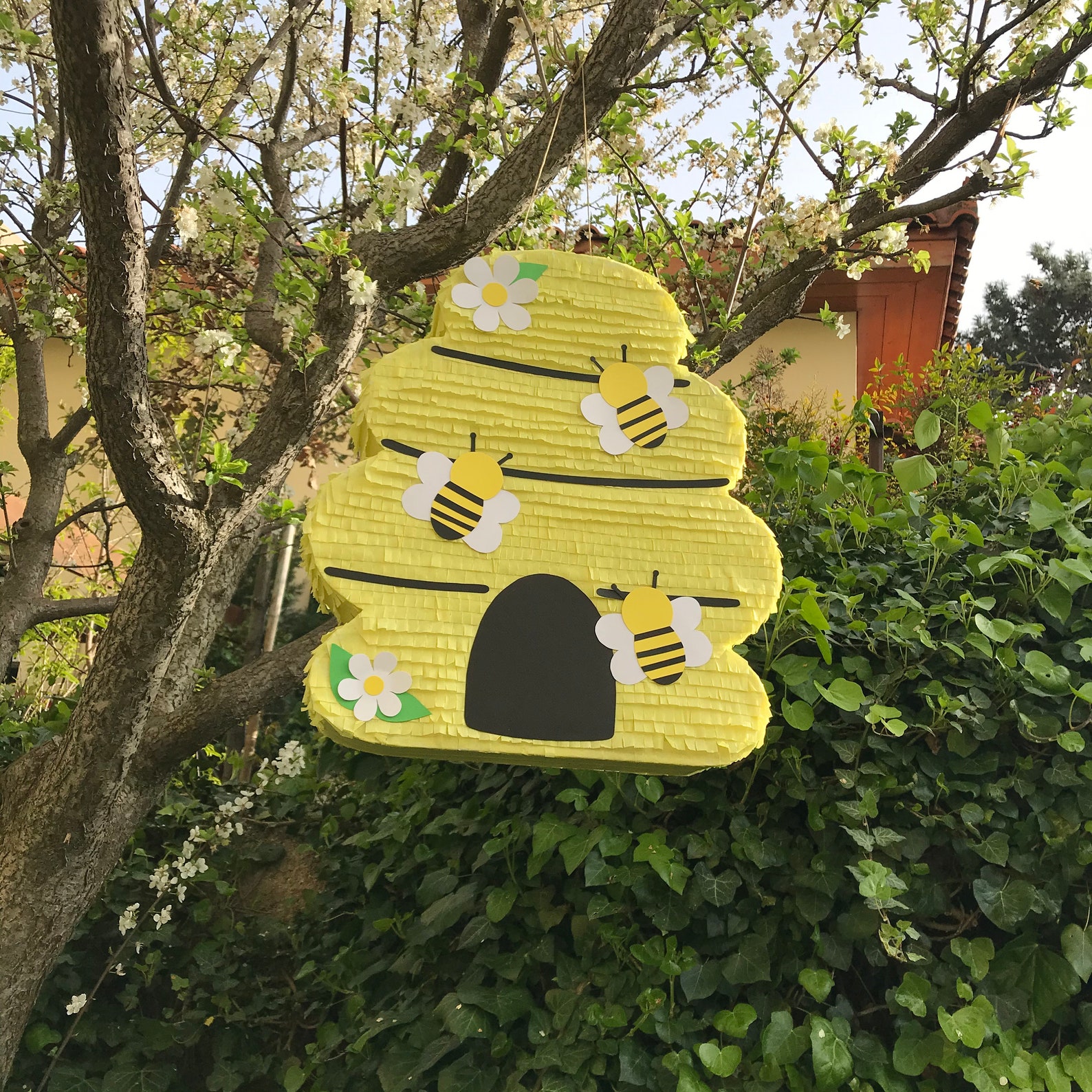 Honey Bee Hive Pinata: Gender Reveal Party Decoration - Etsy