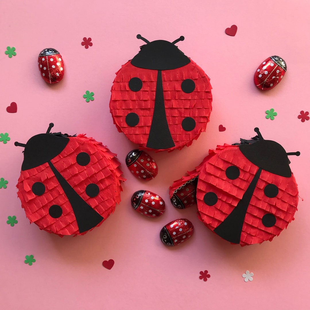 Ladybug Mini Pinata, Ladybug Birthday Party Favor - Etsy
