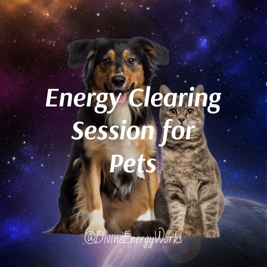 Energy Clearing Session for Pets - Very In-depth - Etsy