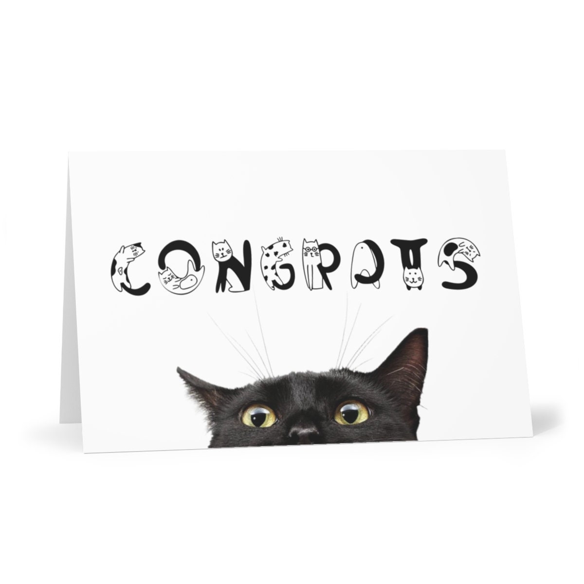 Congratulations Funny Cat