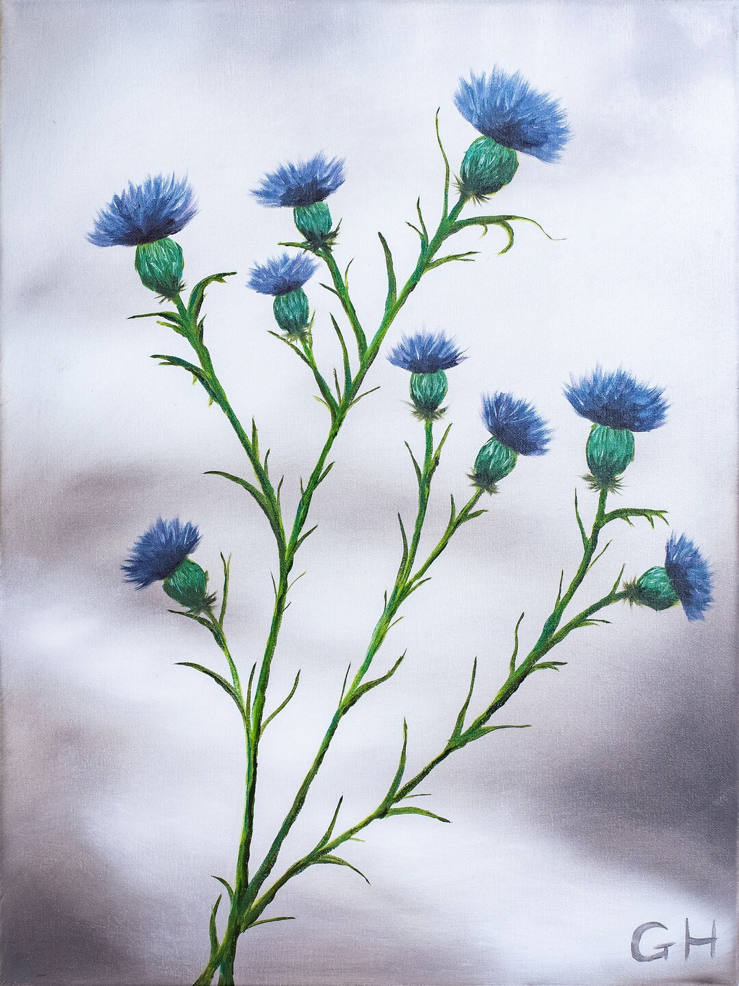 Scottish Thistle Oil Painting - Canvas Print (24"x18") - Etsy