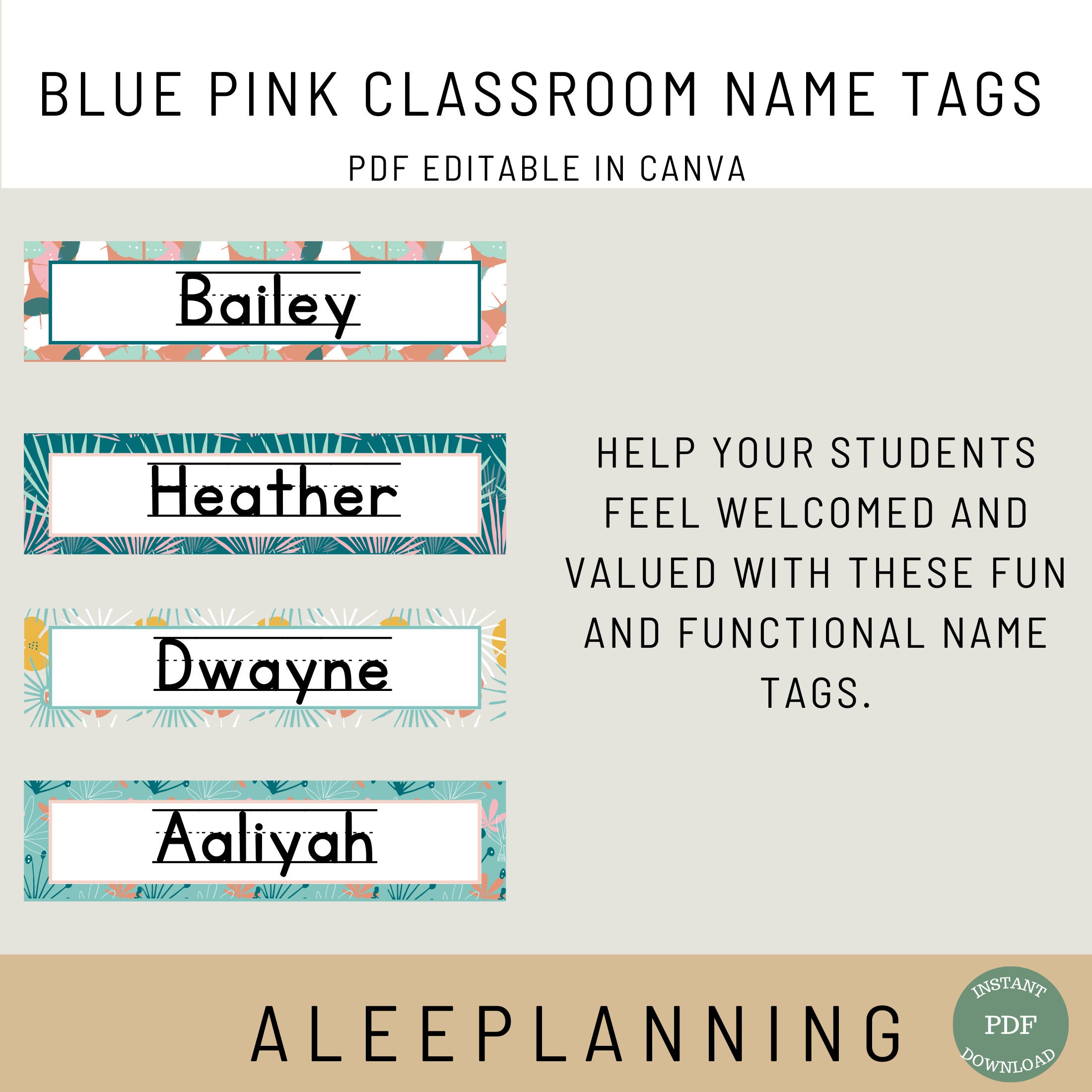 Editable Classroom Name Tags: Blue & Pink Decor (canva PDF) - Etsy