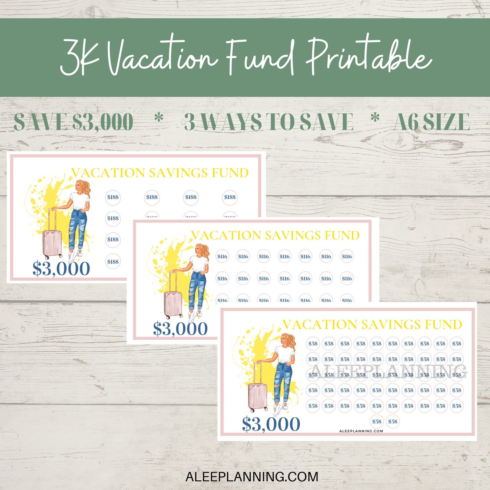 3000 Vacation Savings Fund Travel Fund money Savings Bindera6 Savings ...