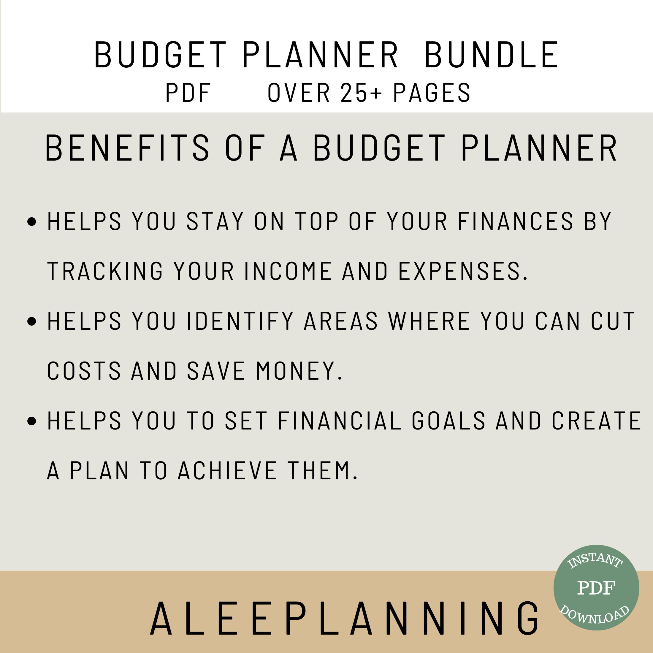 Budget Planner Printable Financial Planner PDF Budget - Etsy