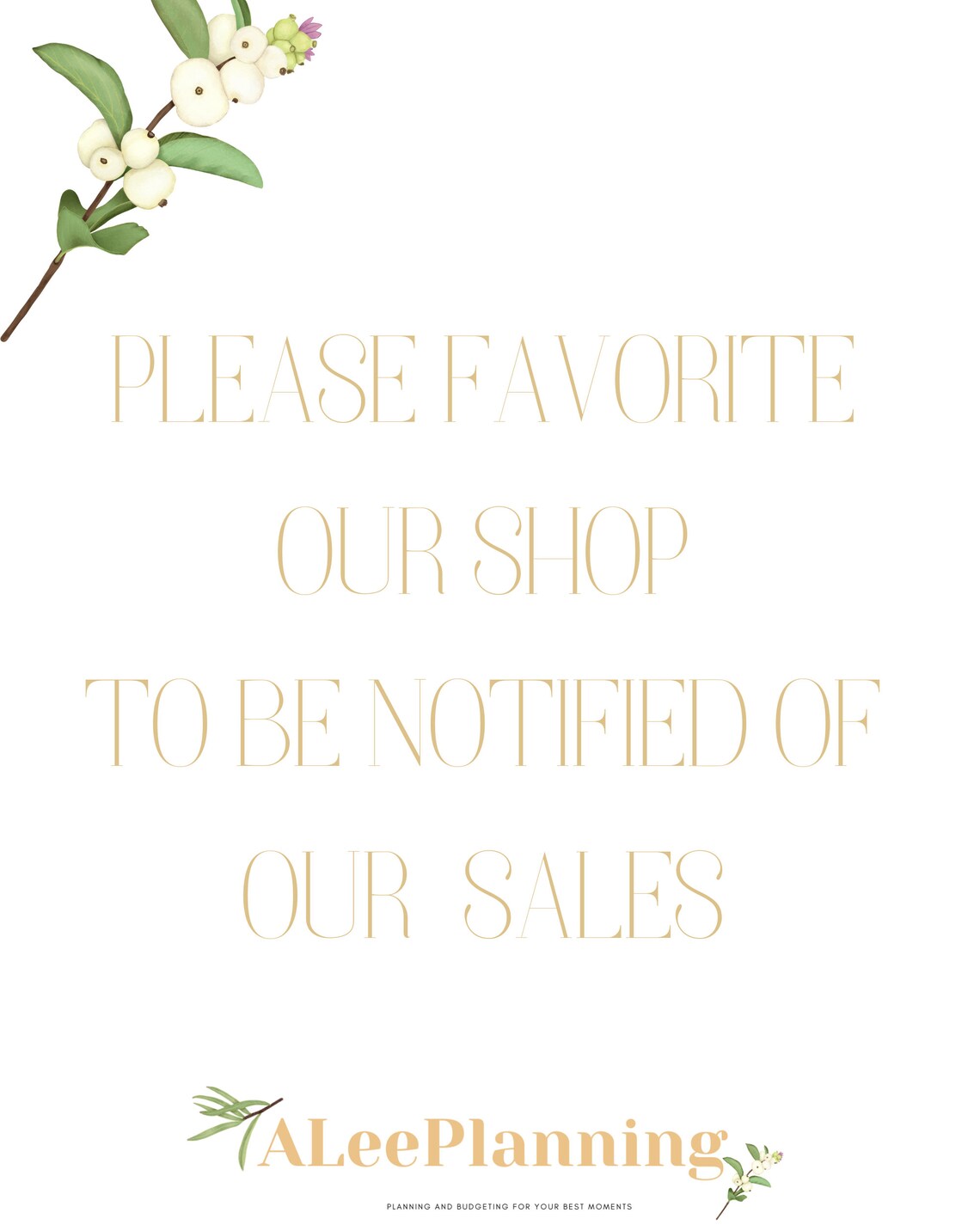 Vacation Planner Bundle Printable Vacation Budget Packing - Etsy