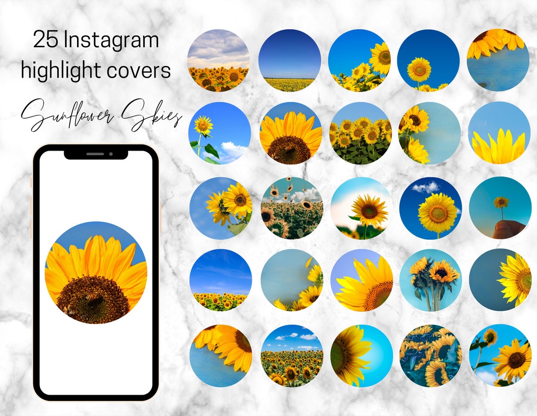25 Sunflower and Blue Skies Instagram Highlight Covers - Etsy