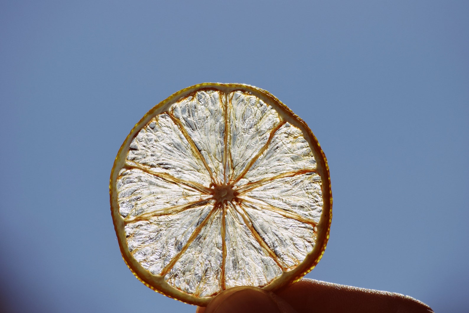 Lemon Dehydrated Lemon Slices Dehydrated Tea Candle Making - Etsy