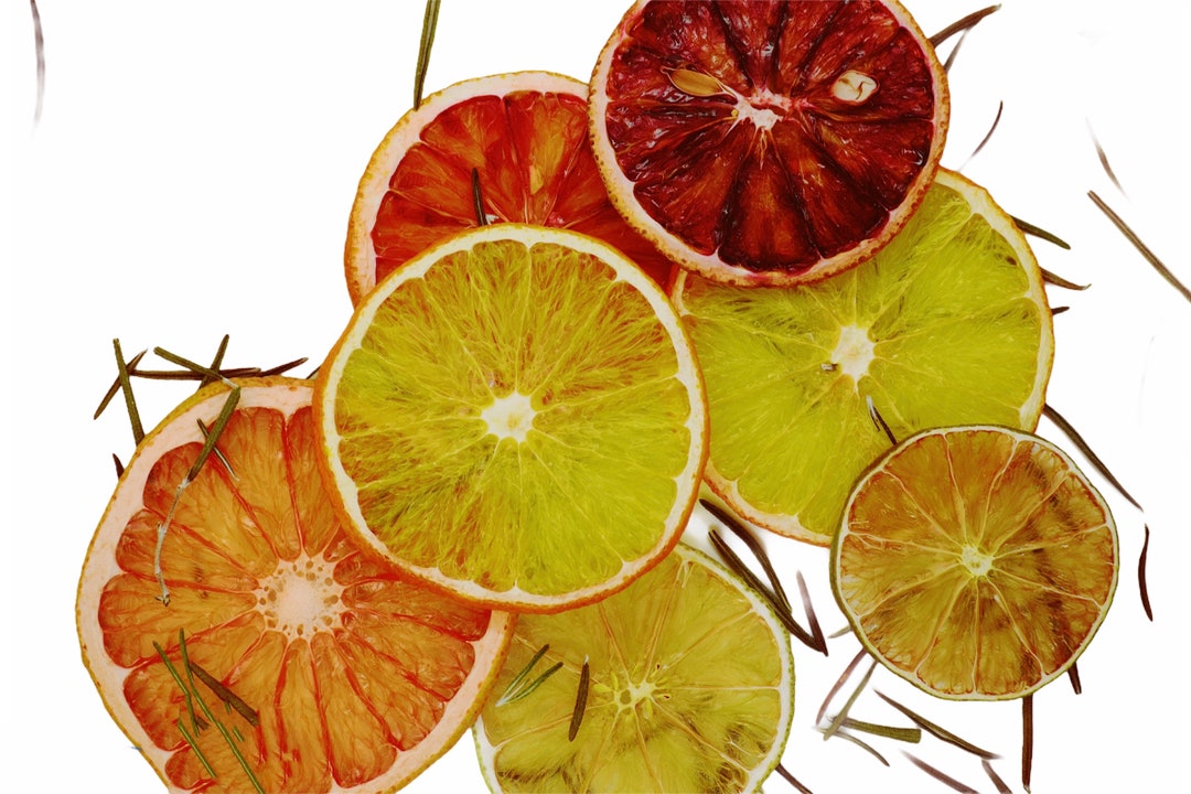 Dehydrated Citrus Cocktail Garnish: Orange, Lime, Lemon, Ginger (25 ...