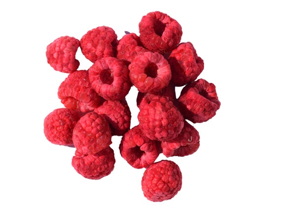Freeze Dried Raspberry Natural/Rasberry/ Healthy Snacks | Etsy