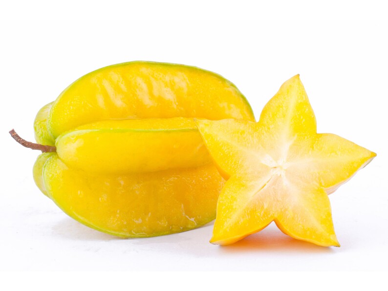 Freeze Dried Star Fruit Carambola Healthy Snacks Anti - Etsy