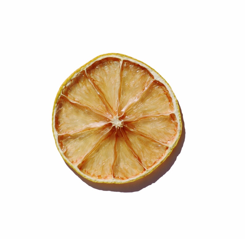 Lemon Dehydrated Lemon Slices Dehydrated Tea Candle Making - Etsy