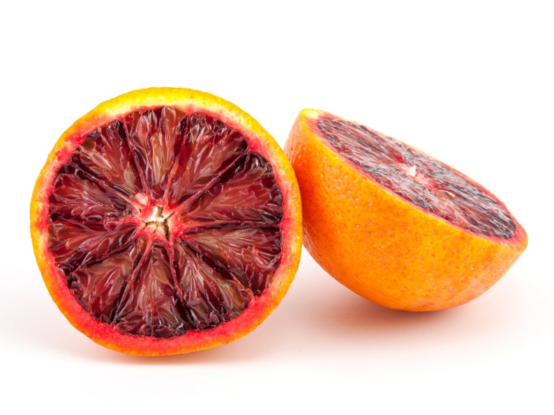 Freeze Dried Dracula Blood Red Orange Citrus Immune Booster | Etsy