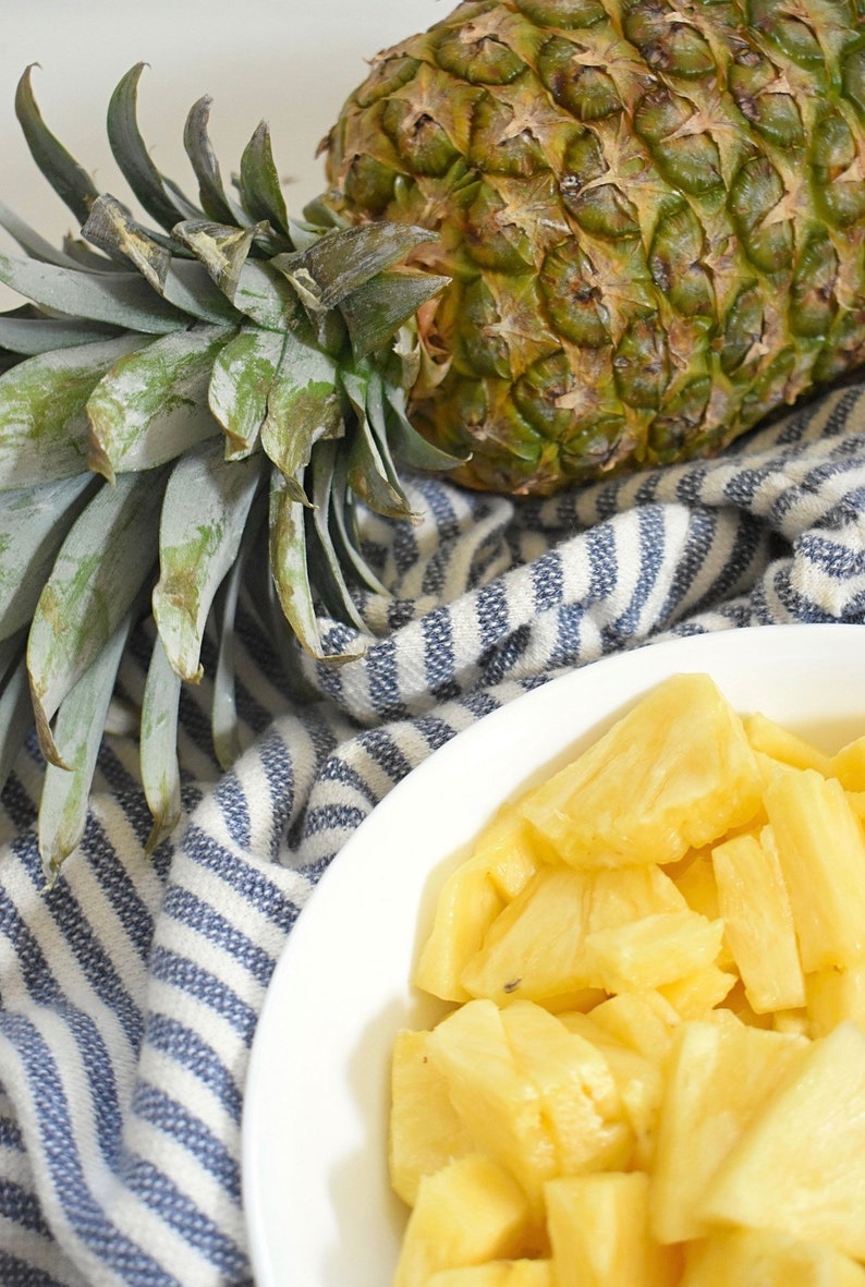 Pineapple Freeze Dried Pineapple / Ananas Rich Vitamin C | Etsy