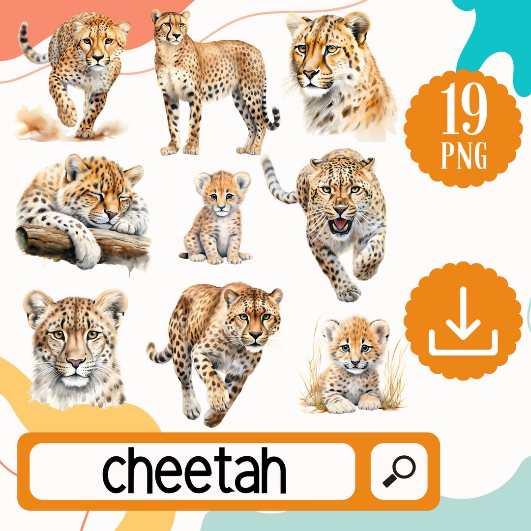 Cheetah Clipart. 19 PNG Watercolor Cheetah Big Cat Images. Nature Big ...