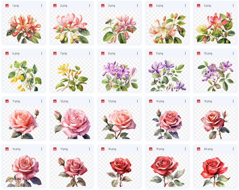 June Flowers of the Month Clipart, Roses and Honeysuckle June Summer ...