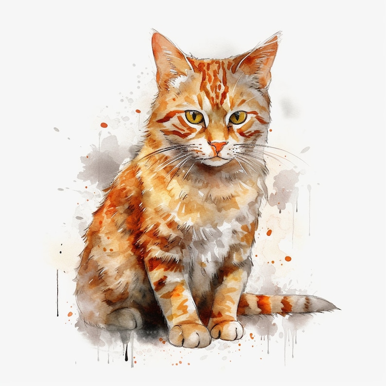 Orange Tabby Cat Clipart Bundle. Orange Watercolor Cat PNG Digital ...