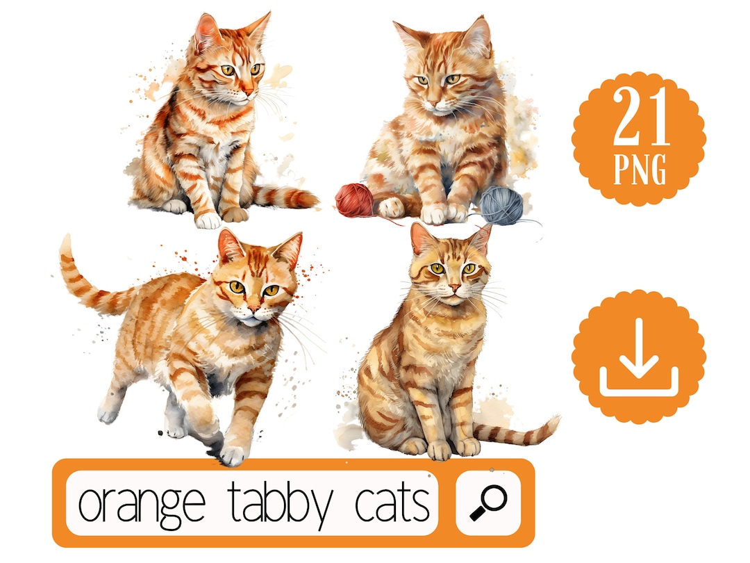 Orange Tabby Cat Clipart Bundle. Orange Watercolor Cat PNG Digital ...