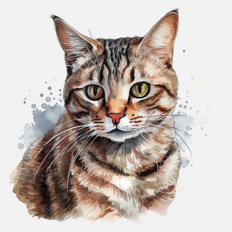 Tabby Cat Watercolor Clipart Bundle. Orange Cat PNG Digital Download ...