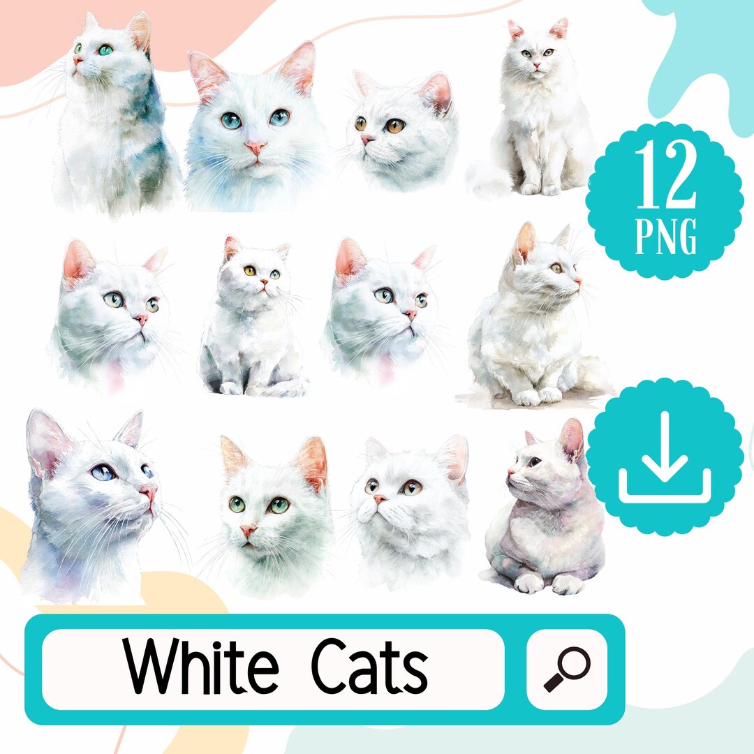 White Cat Watercolor Clipart Bundle. White Cat PNG Digital Download ...