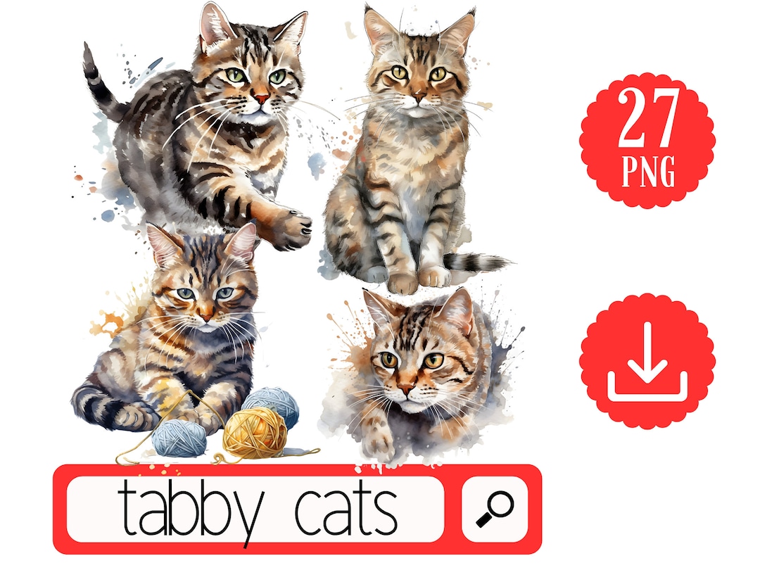 Tabby Cat Watercolor Clipart Bundle. Orange Cat PNG Digital Download ...