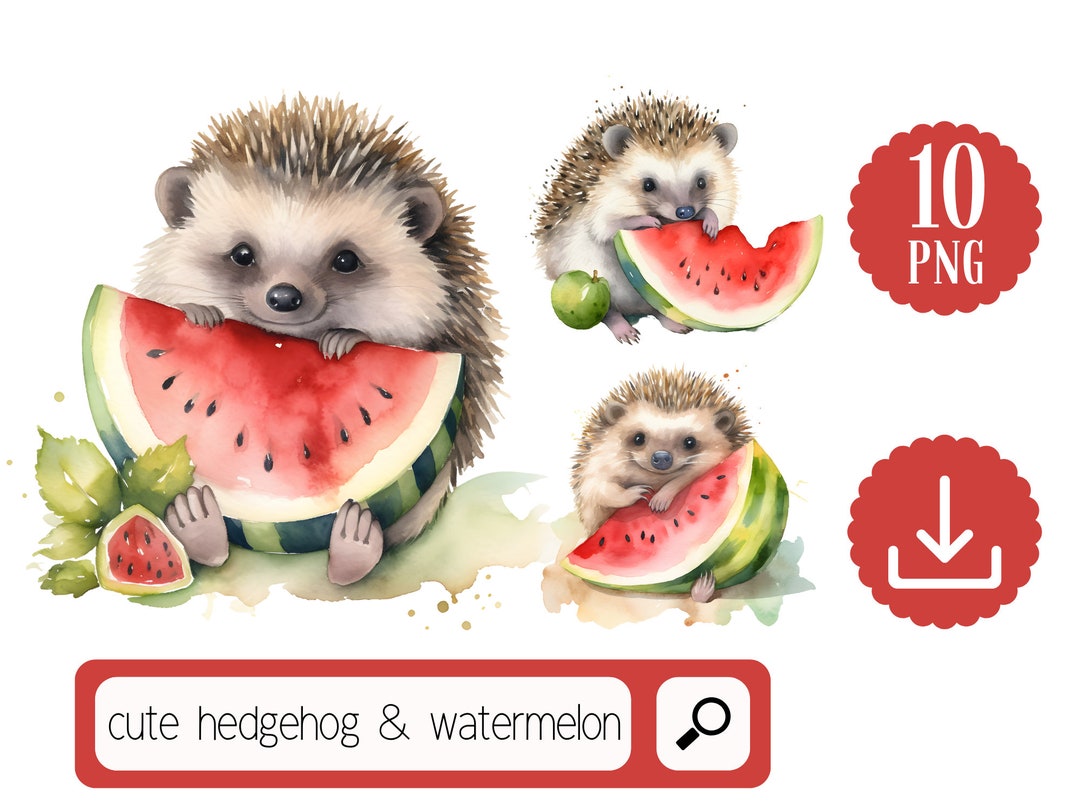 Adorable Hedgehog Eating Watermelon Clipart PNG, 10 Watercolor Super ...