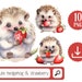 Hedgehog Eating Strawberry Clipart PNG, 10 Watercolor Cute Hedgehog ...