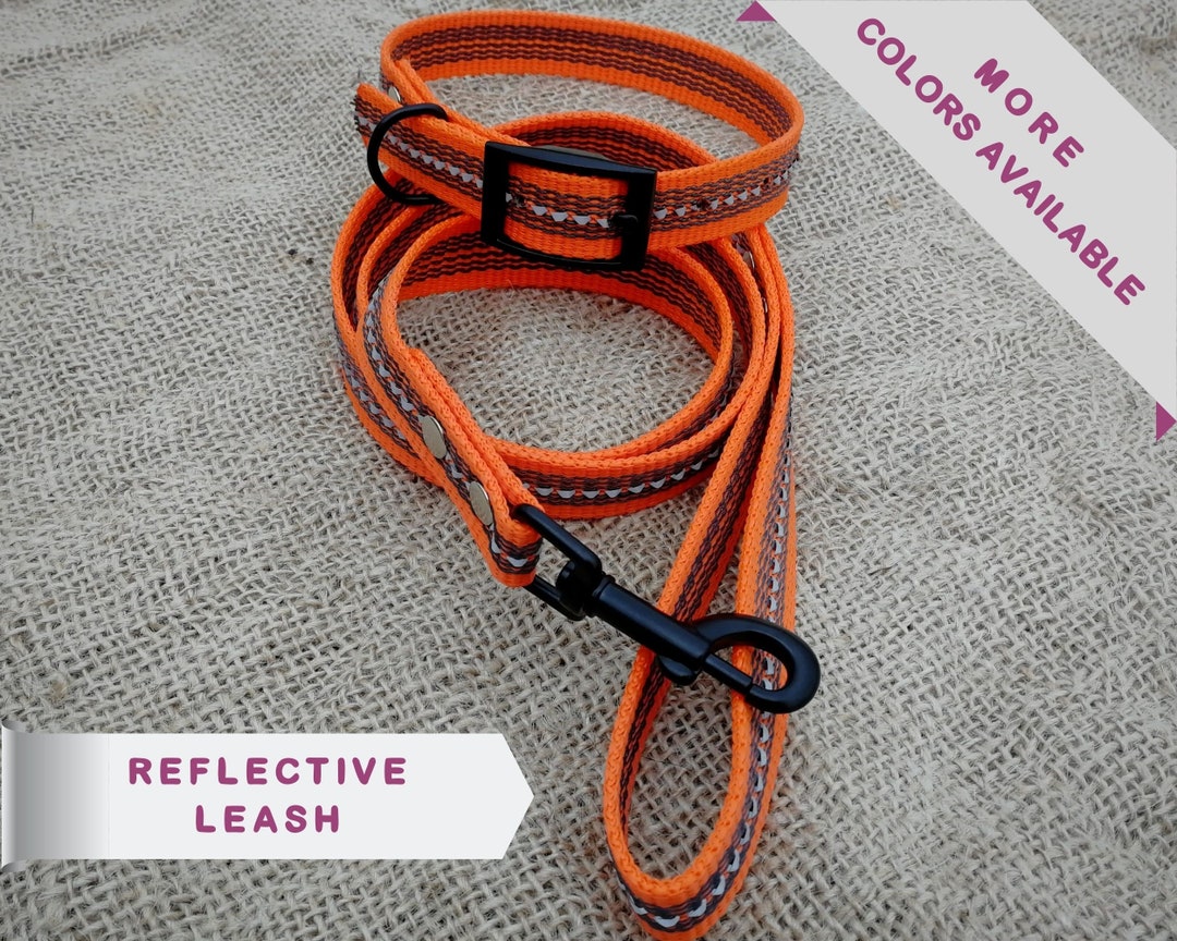Reflective Dog Collar and Leash Set, Safety Lead and Collar for ...