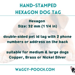 Halloween Dog Tag, Spooky Dog Tag, Hexagon Metal Pet Tag With 2 Phone ...