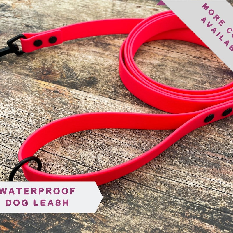 Custom Dog Leash - Etsy