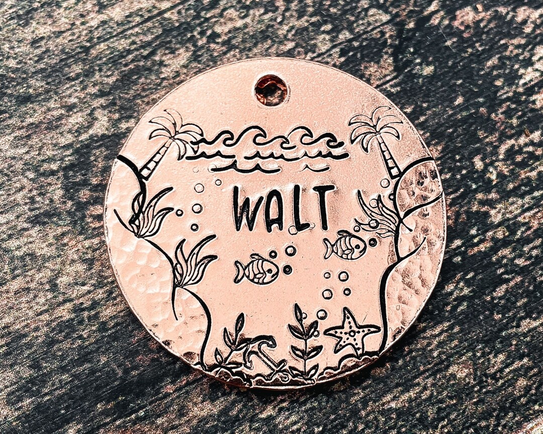 Ocean Dog Id Tag With Fish, Dog Tag for Dogs Personalized, Double-sided ...