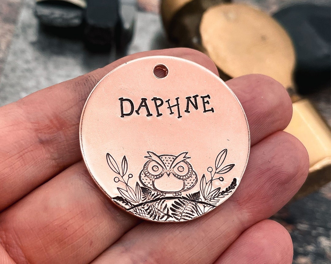 Large Dog Tag With 2 Phone Numbers or Address, Dog Tag for Dogs ...