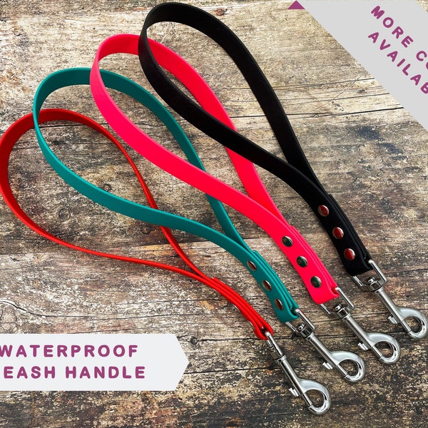Dog on Leash - Etsy